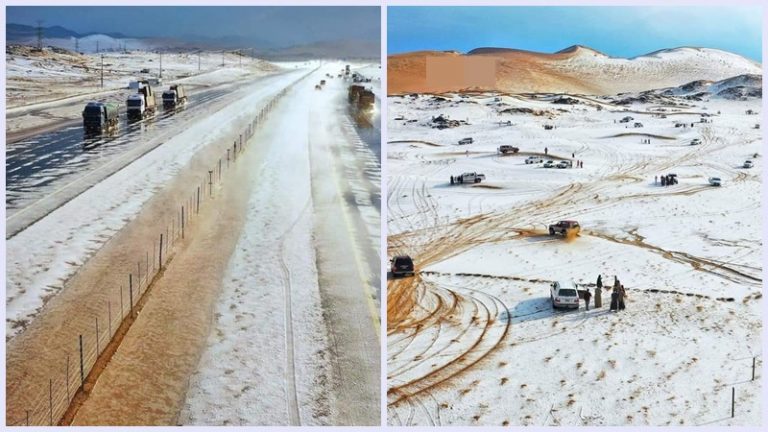 世界变了2.0？沙地阿拉伯竟罕见下雪了 黄土沙漠变银白大地！梦幻雪景曝光！