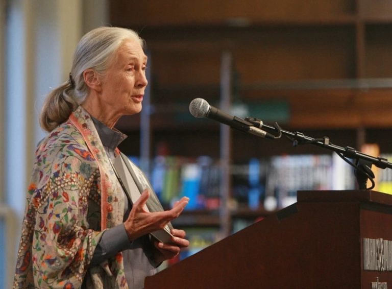 为猩猩奉献一生！英国动物学家Jane Goodall逝世⚡终年91岁！网悼念：一颗巨星陨落！